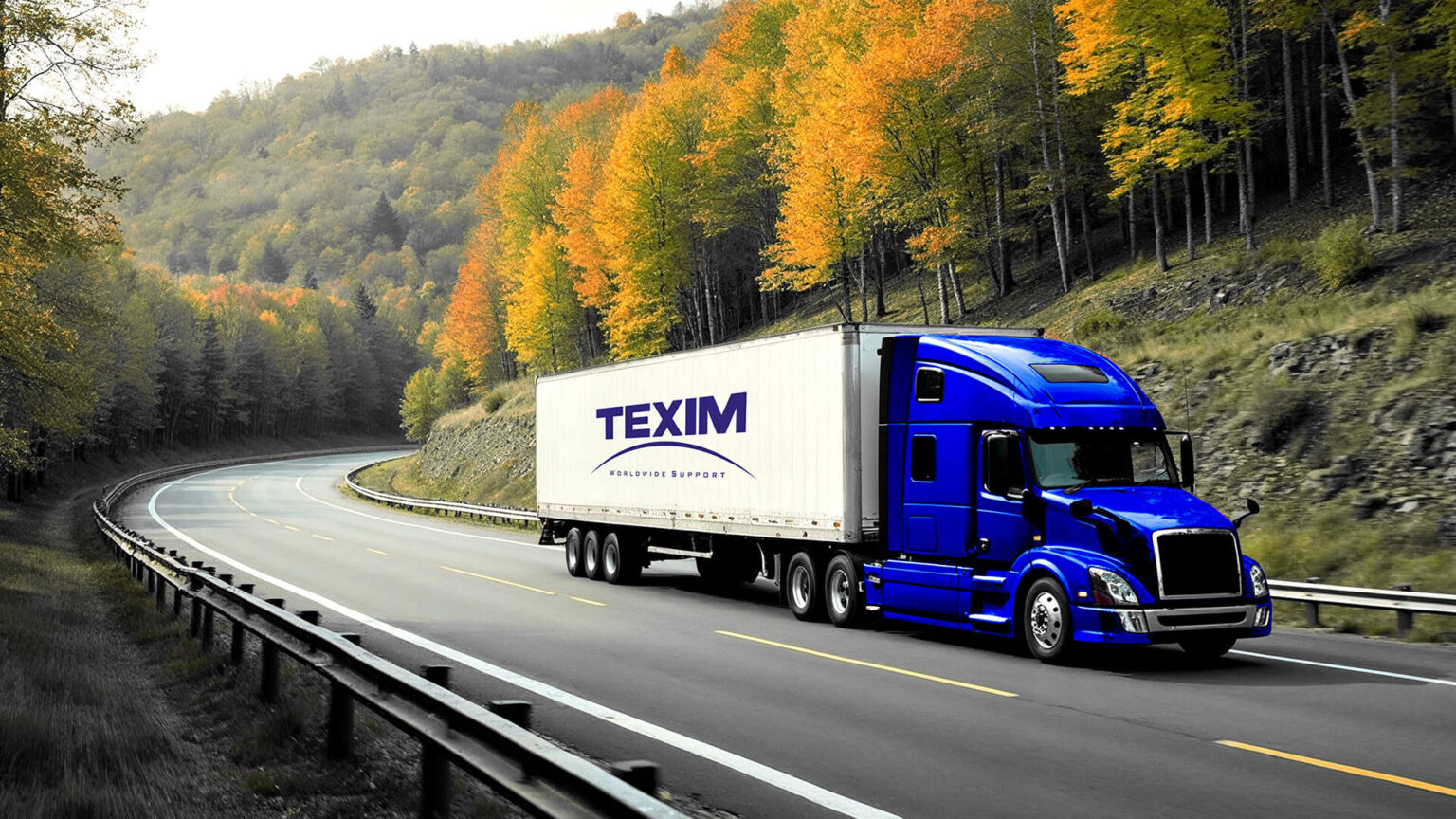 Compañia – Texim Autopartes